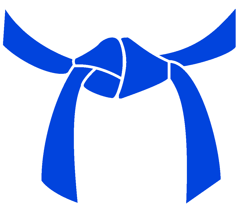 Attitude First - UMAS - Intermediate Blue Belt Requirements